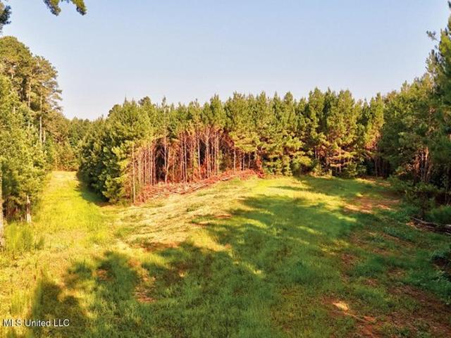 NW Ben Briggs Rd, Roxie, MS 39661