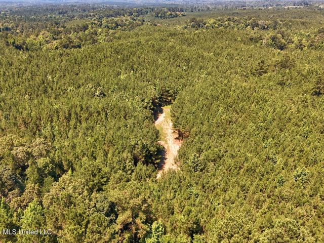 NW Ben Briggs Road, Roxie, MS 39661