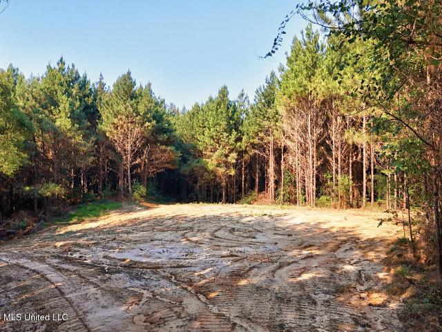 NW Ben Briggs Road, Roxie, MS 39661