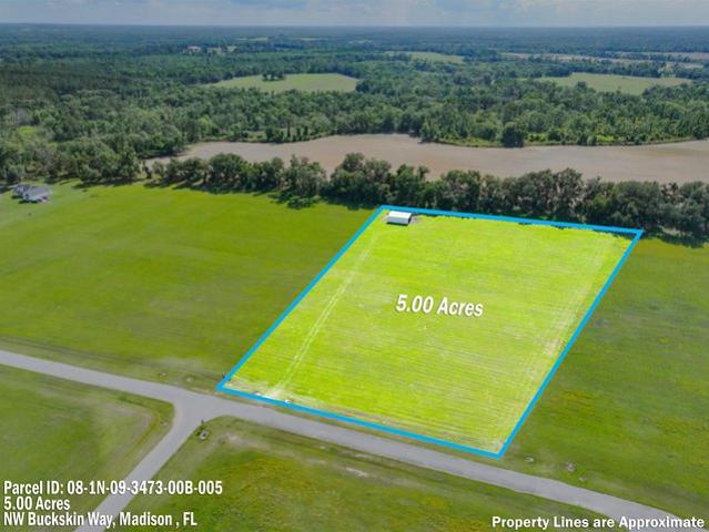 NW Buckskin Way, Madison, FL 32340