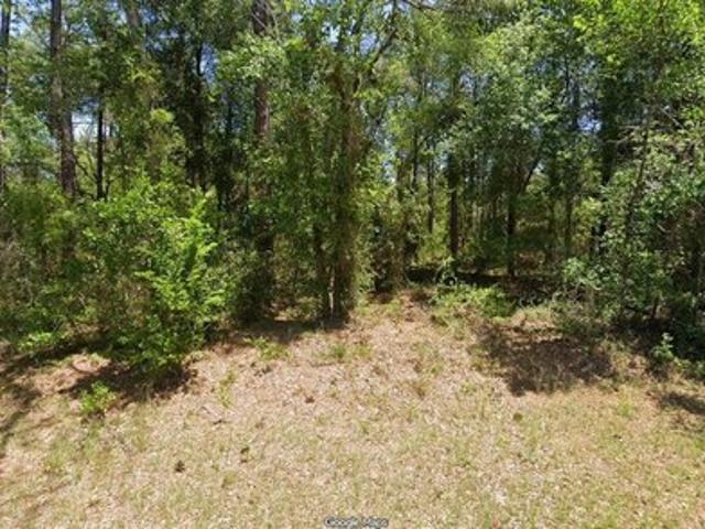 NW Buena Vista Rd, Dunnellon, FL 34431
