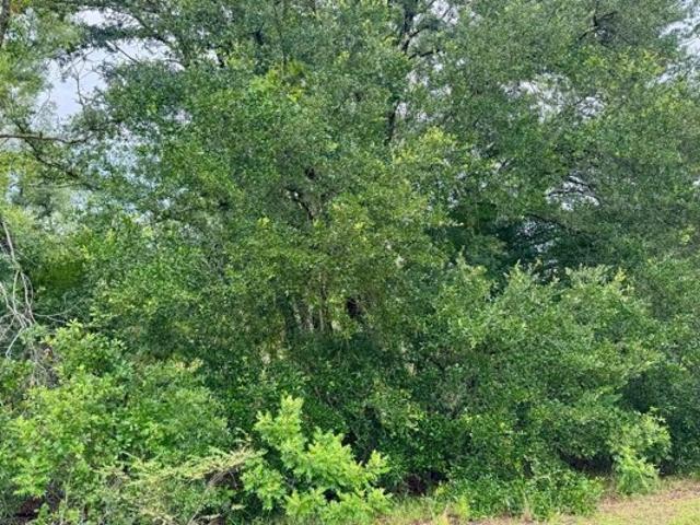 Nw Bur Oak Pl Lot,jennings, Plot For Sale