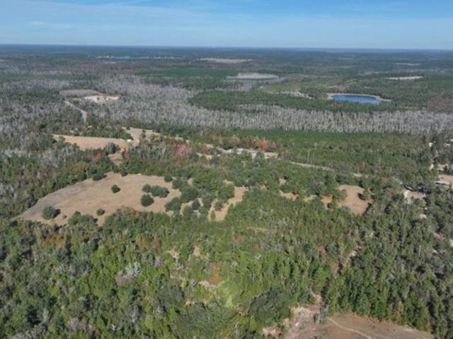 Nw Camp Head Rd, Altha, Home For Sale