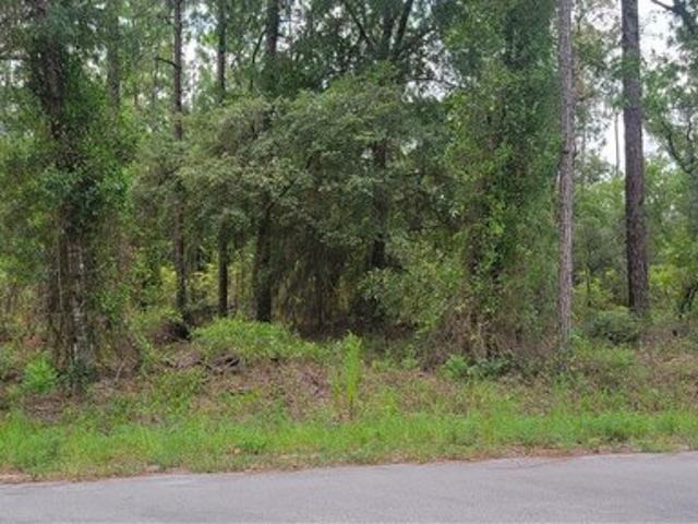 NW Chestnut Ave, Dunnellon, FL 34431