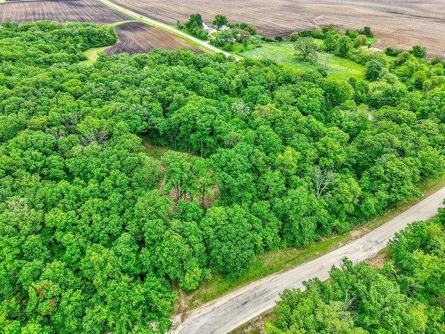 NW Corner E 2575th Rd Circle Dr, Marseilles, IL 61341