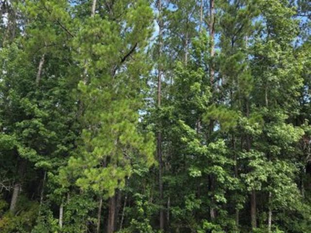 Nw County Road 333, Bristol, FL 32321
