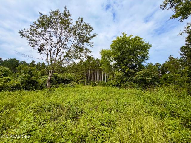 NW Eads Bluff Rd, Georgetown, TN 37336