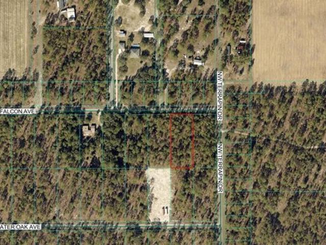 NW Falcon Ave, Dunnellon, FL 34431