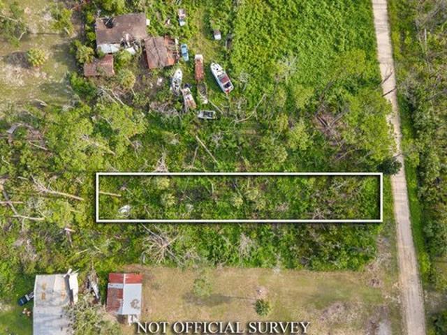 NW Fourth St Lot 28, Steinhatchee, FL 32359