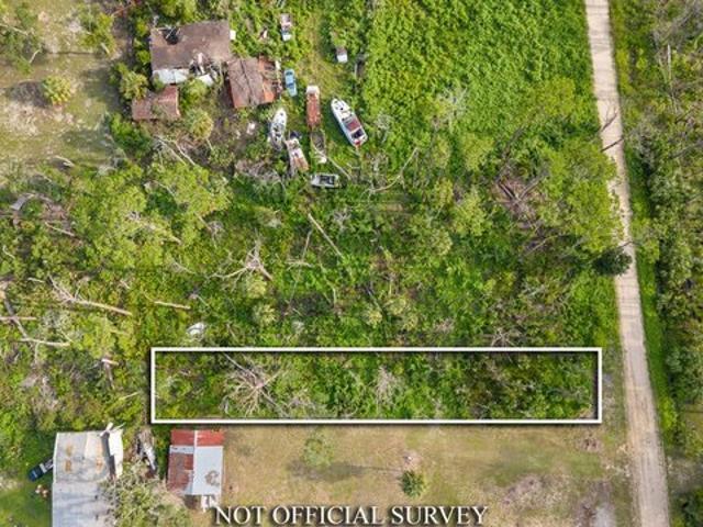 NW Fourth St Lot 29, Steinhatchee, FL 32359