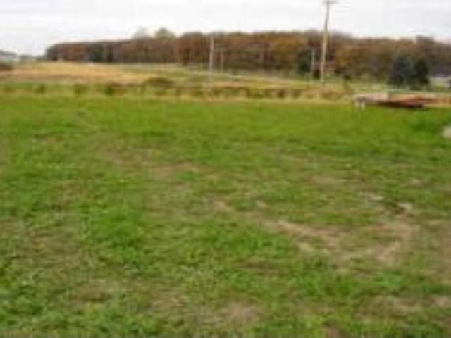 NW Gunnar Ln Lot 2, Ellendale, MN 56026