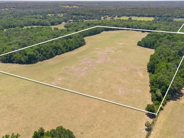NW Highway 225, Reddick, FL 32686