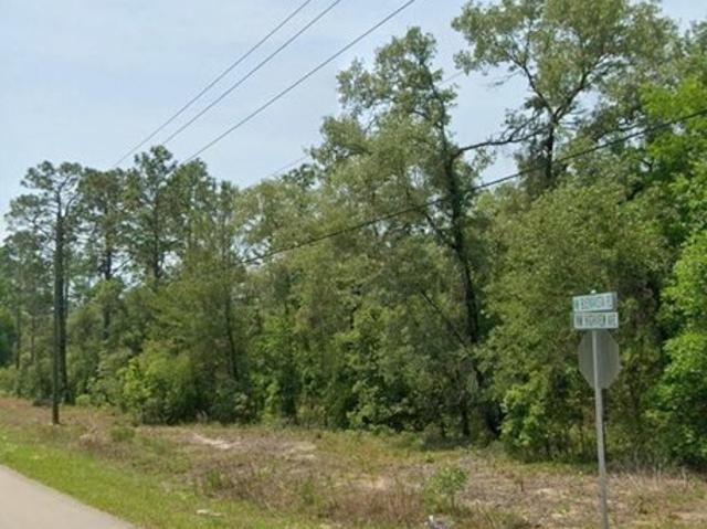 NW Highview Ave, Dunnellon, FL 34431