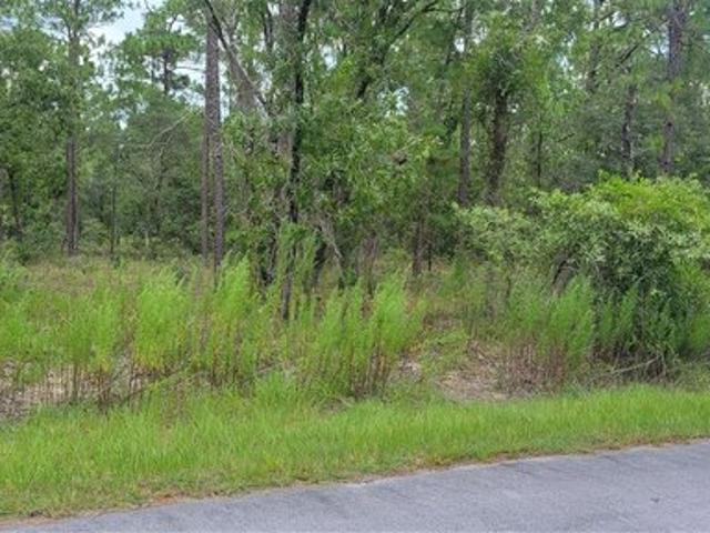 NW Highview Ave, Dunnellon, FL 34431