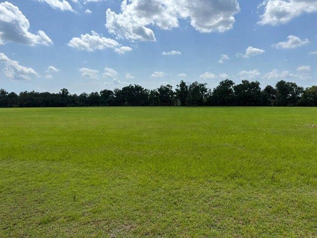 NW Loper Plantation Rd, Madison, FL 32340