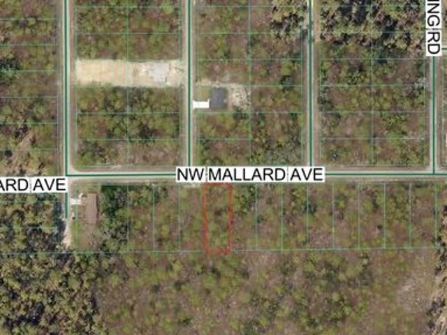 NW Redwood Dr, Dunnellon, FL 34431