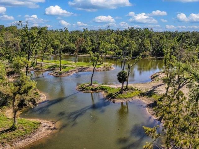 NW Roys Rd, Steinhatchee, FL 32359