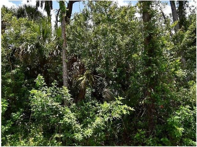 Numera Ave, North Port, FL 34288