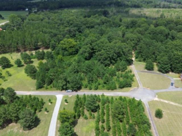 Nubby Ln, Cochran, GA 31014