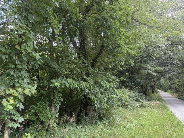 Nubour St, Dowagiac, MI 49047