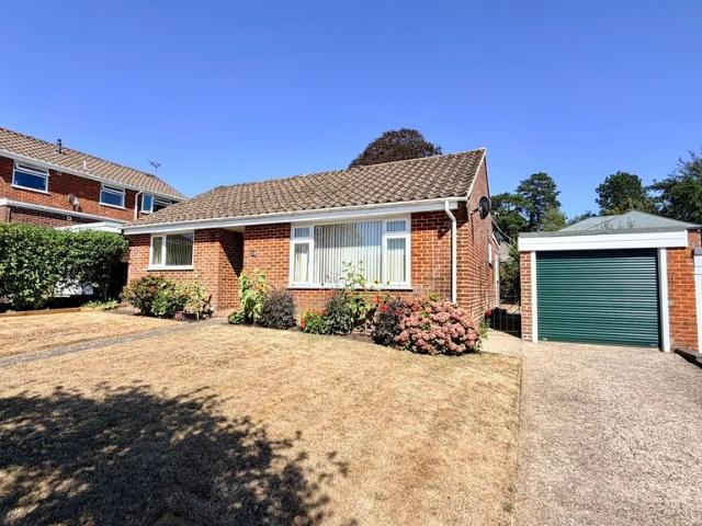 Nursery Gardens, Chard, Somerset TA20, 2 bed detached bungalow to rent, £1,250 pcm | PrimeLocation