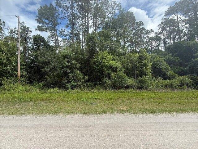 Nutwood Ave, Bunnell, Plot For Sale