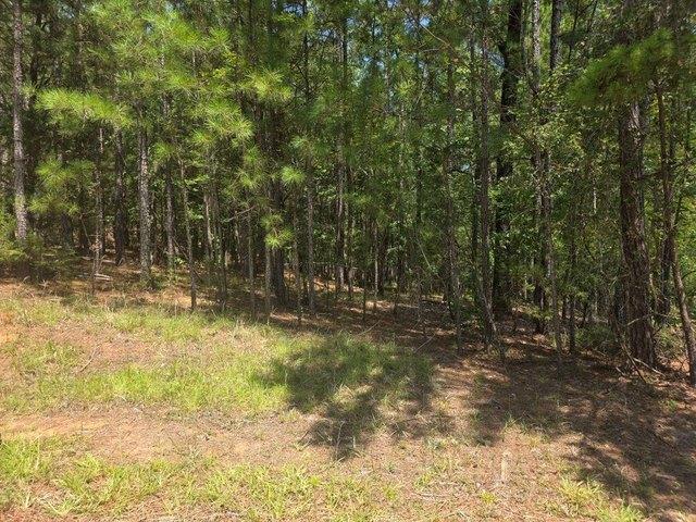 Nutwood Ct, McCormick, SC 29835
