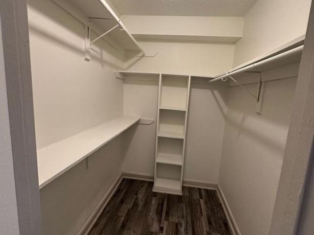 Nuvo Andorra: Refined Dallas Living – July Move 1 Bedroom Apartment for Rent at 5109 Gaston Ave, Dallas, TX 75214