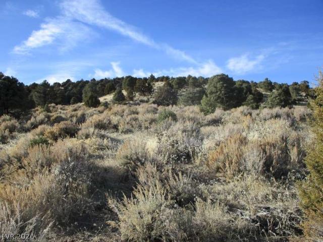 NV Hwy 322 10.012 Ac