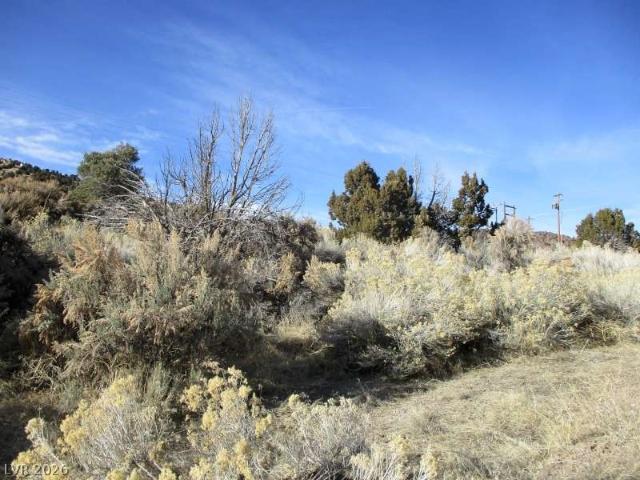 NV Hwy 322 2.46 Ac