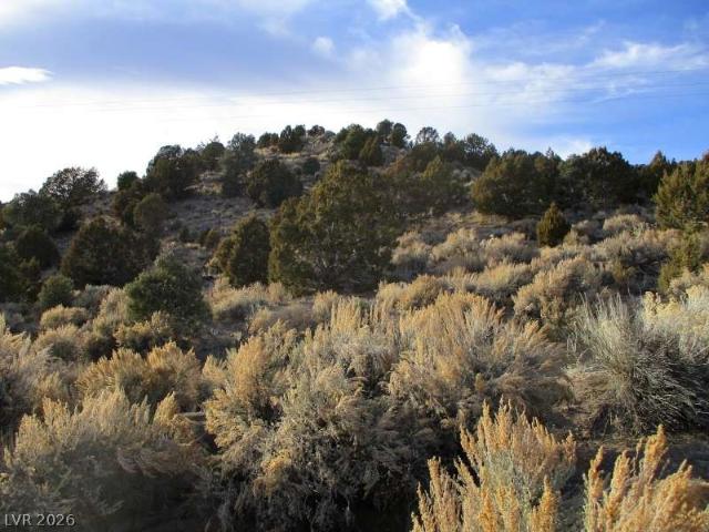 NV Hwy 322 9.86 Ac