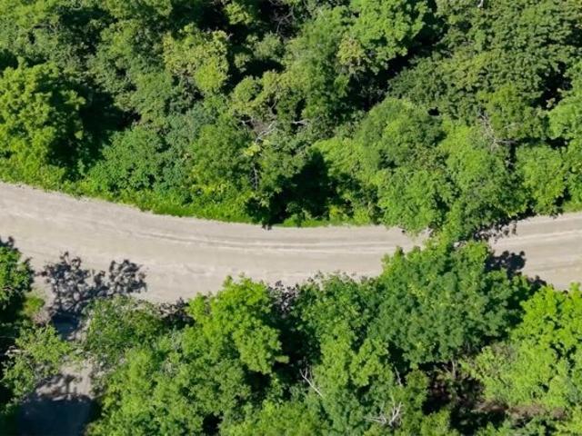 Nxt Butternut Rd, Williston, Plot For Sale