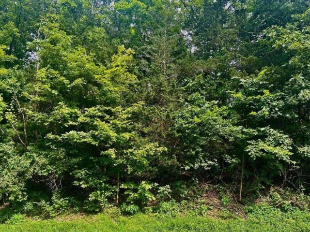NY NY LS102245527