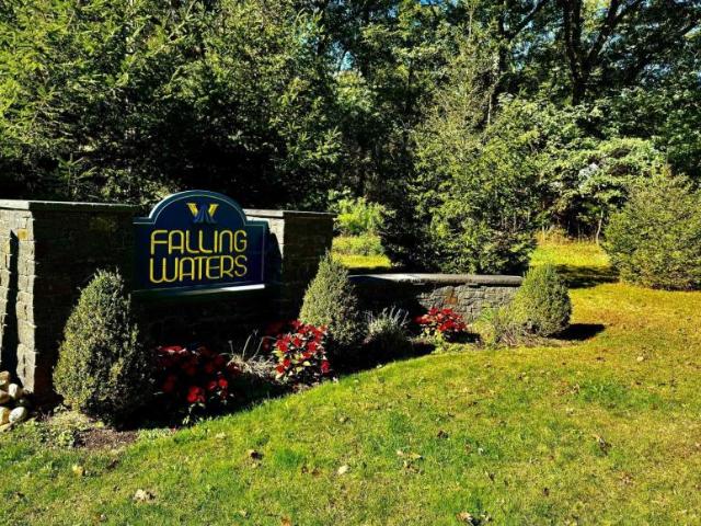 NY NY LS96164601