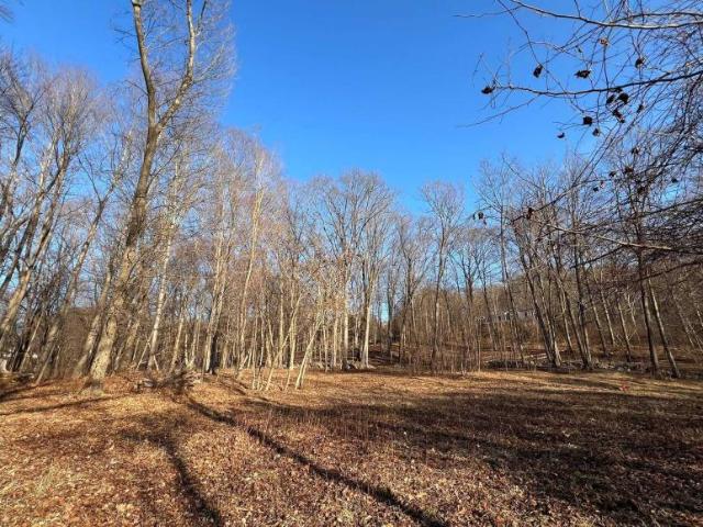 NY NY LS98138812