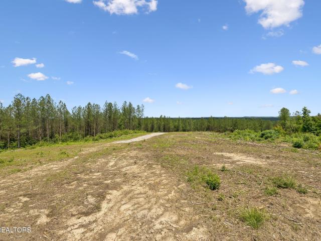 Nydeck Rd, Robbins, TN 37852