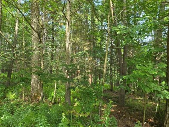 Nys 52 Lot 6, Narrowsburg, NY 12764