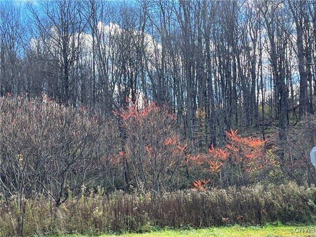 Nys Route,barneveld, Farm House For