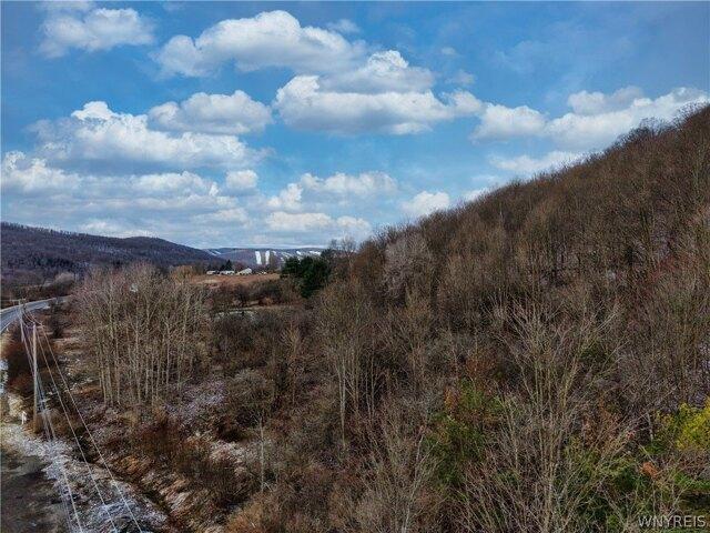 Nys Route Lot,ellicottville, Plot For Sale