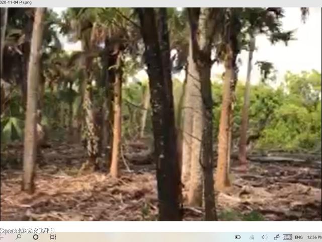 O00 E Unknown, Merritt Island, FL 32953 | MLS #1074