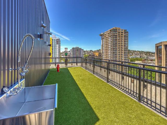 O2 1 Bedroom Apartment for Rent at 2401 3rd Ave, Seattle, WA 98121 Belltown