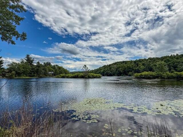 O Alan A Dale Dr, Becket, Plot For Sale