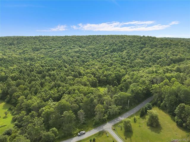 O Benton Hollow Road