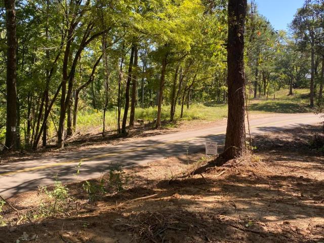 O Bluff Road