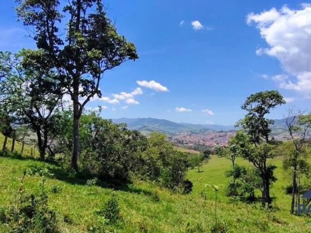 O Encontro Perfeito entre a Expansão Estratégica e Refúgio Produtivo