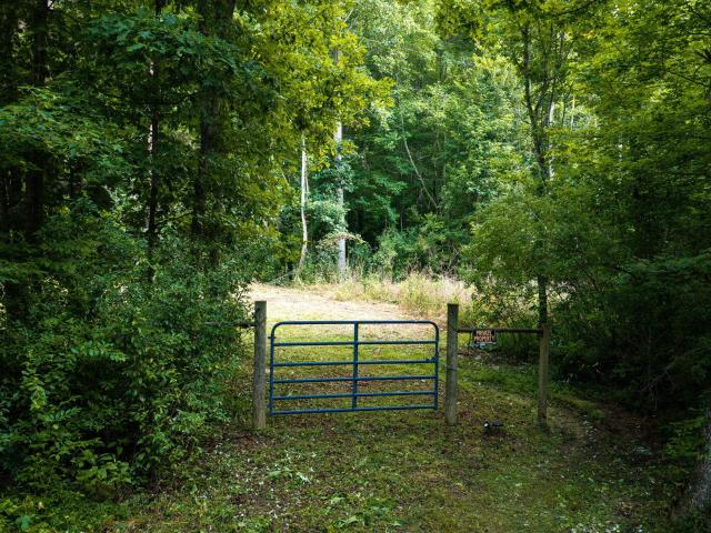O Green Town Road