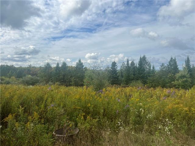 O Grove Springs/ Keuka Highlands Road