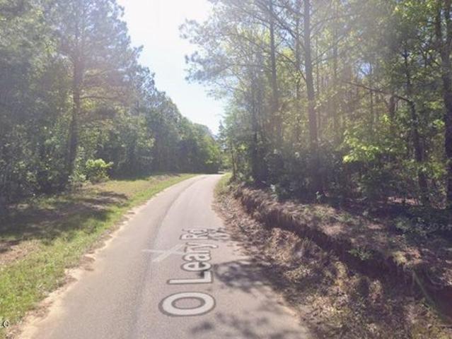 O Leary Rd, Camden, MS 39045