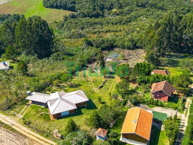 O Paraíso a 17 min de Santa Felicidade: Chácara de 20.000m² em Madeira de Lei