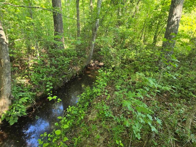 O Snow Camp Rd, Graham, NC 27253 | MLS #10162 | Compass